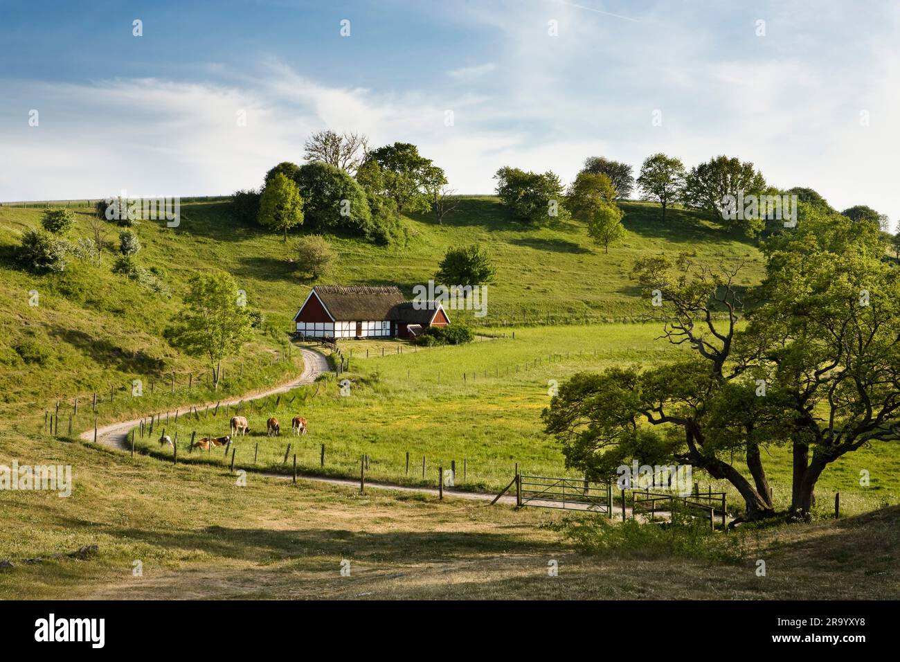 Skane countryside hi-res stock photography and images - Alamy
