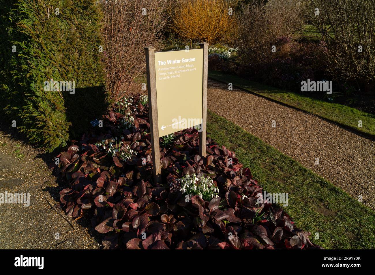 Cambridge University Botanic Garden, Cambridge UK Stock Photo - Alamy