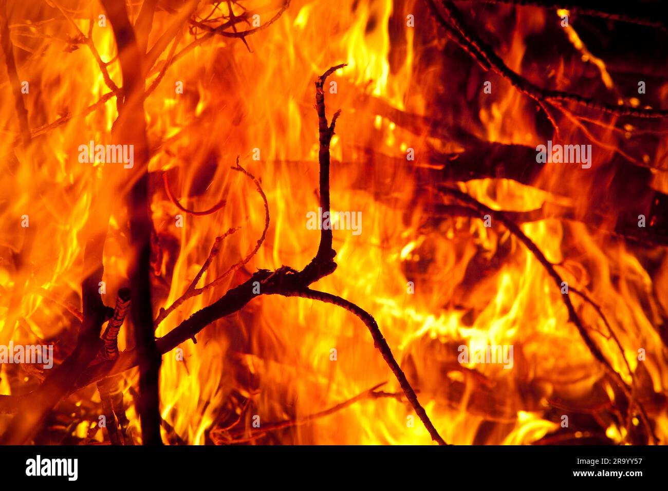 Fire burns twigs wood hi-res stock photography and images - Alamy