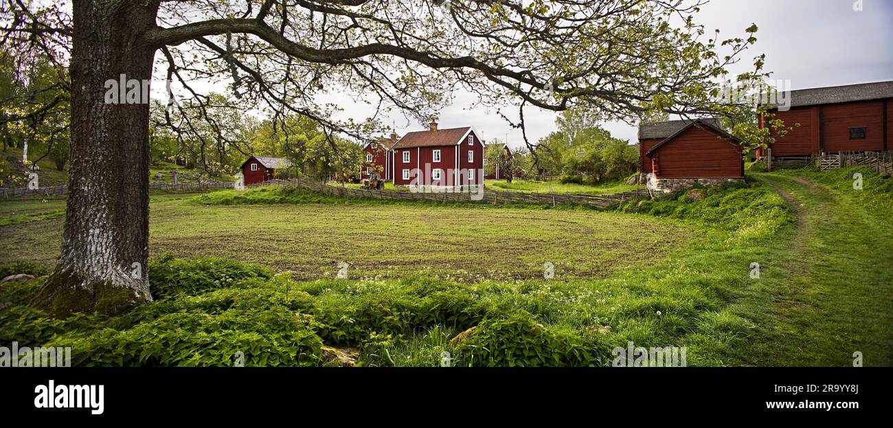 Tree on landscape with country houses at a distance Stock Photo - Alamy