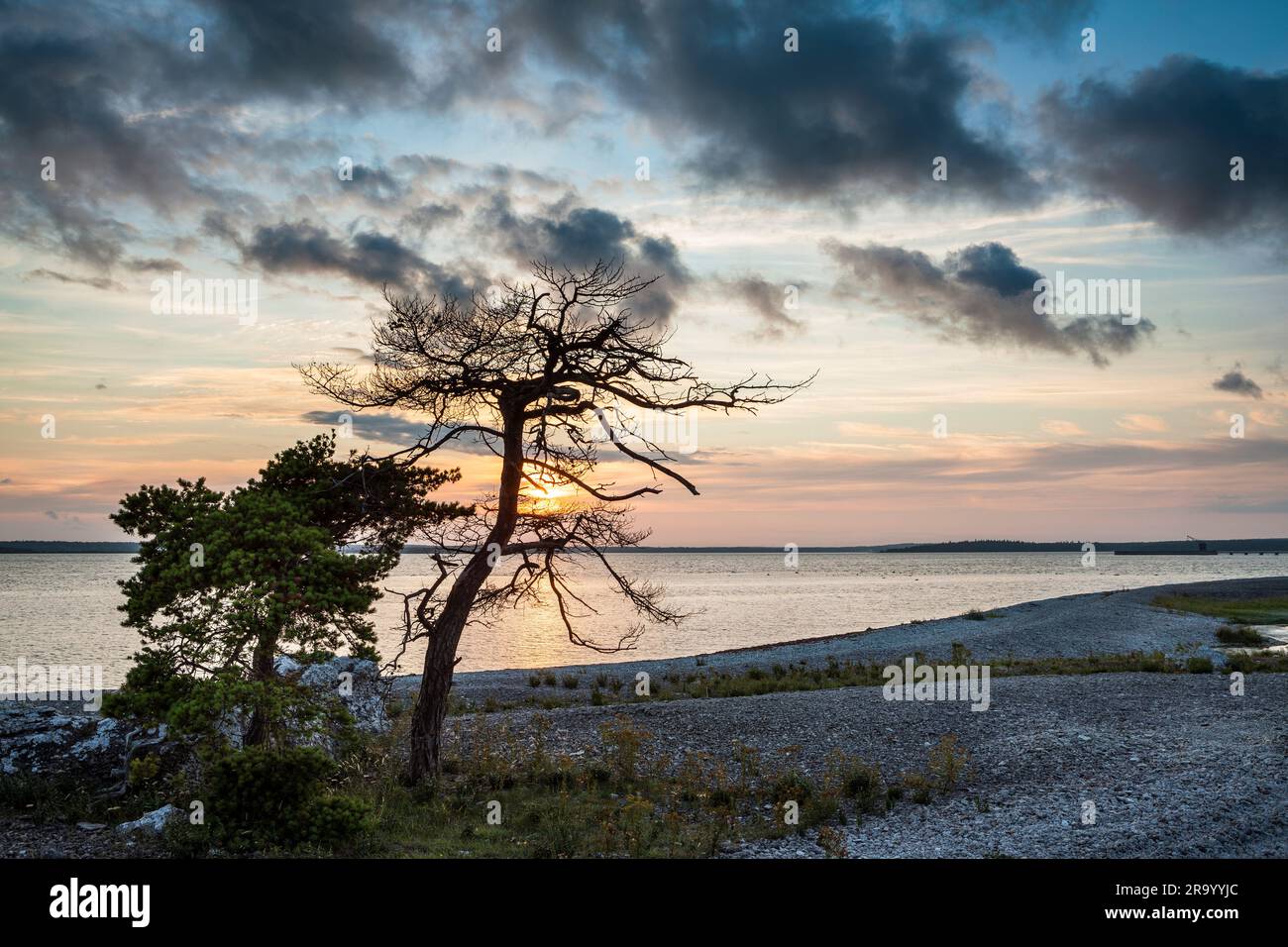 Gotland island hi-res stock photography and images - Alamy