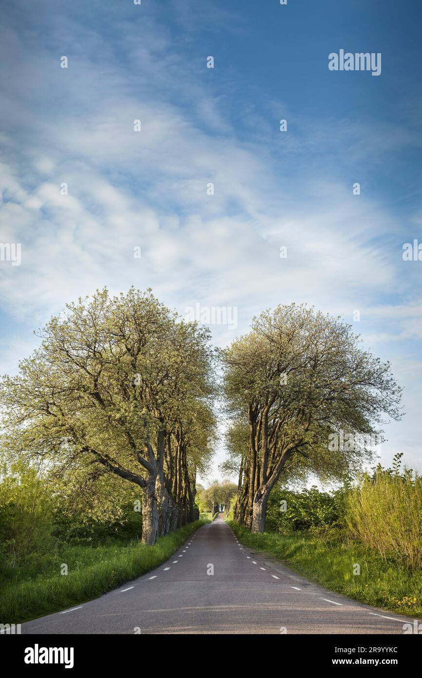 Skane countryside hi-res stock photography and images - Alamy
