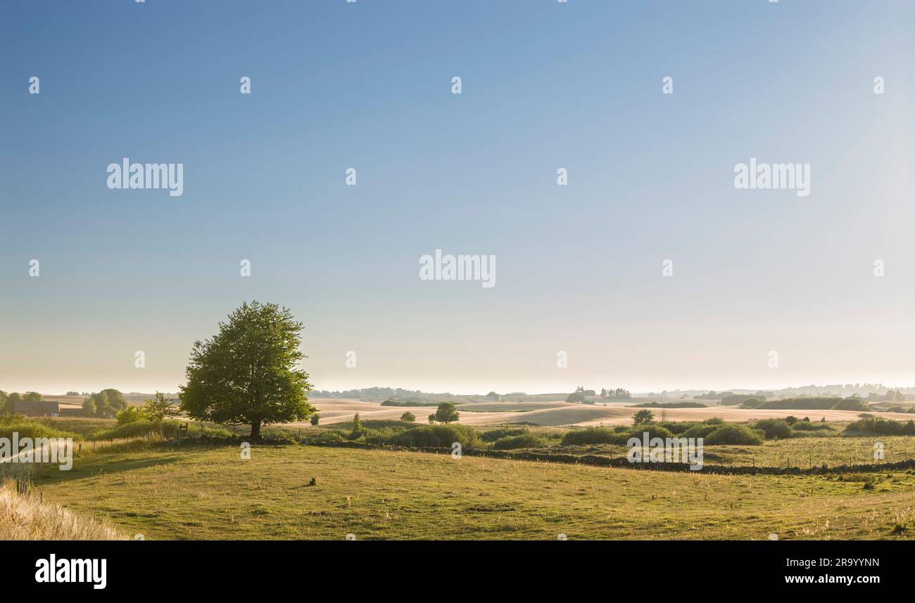 Nature countryside tree hi-res stock photography and images - Alamy