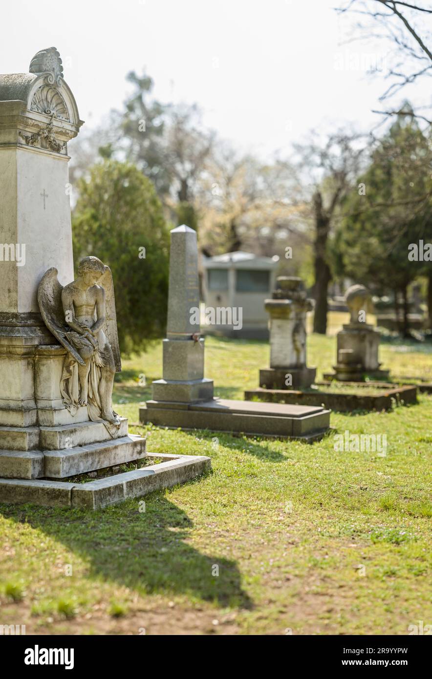 Fiumei uti sirket hi-res stock photography and images - Alamy