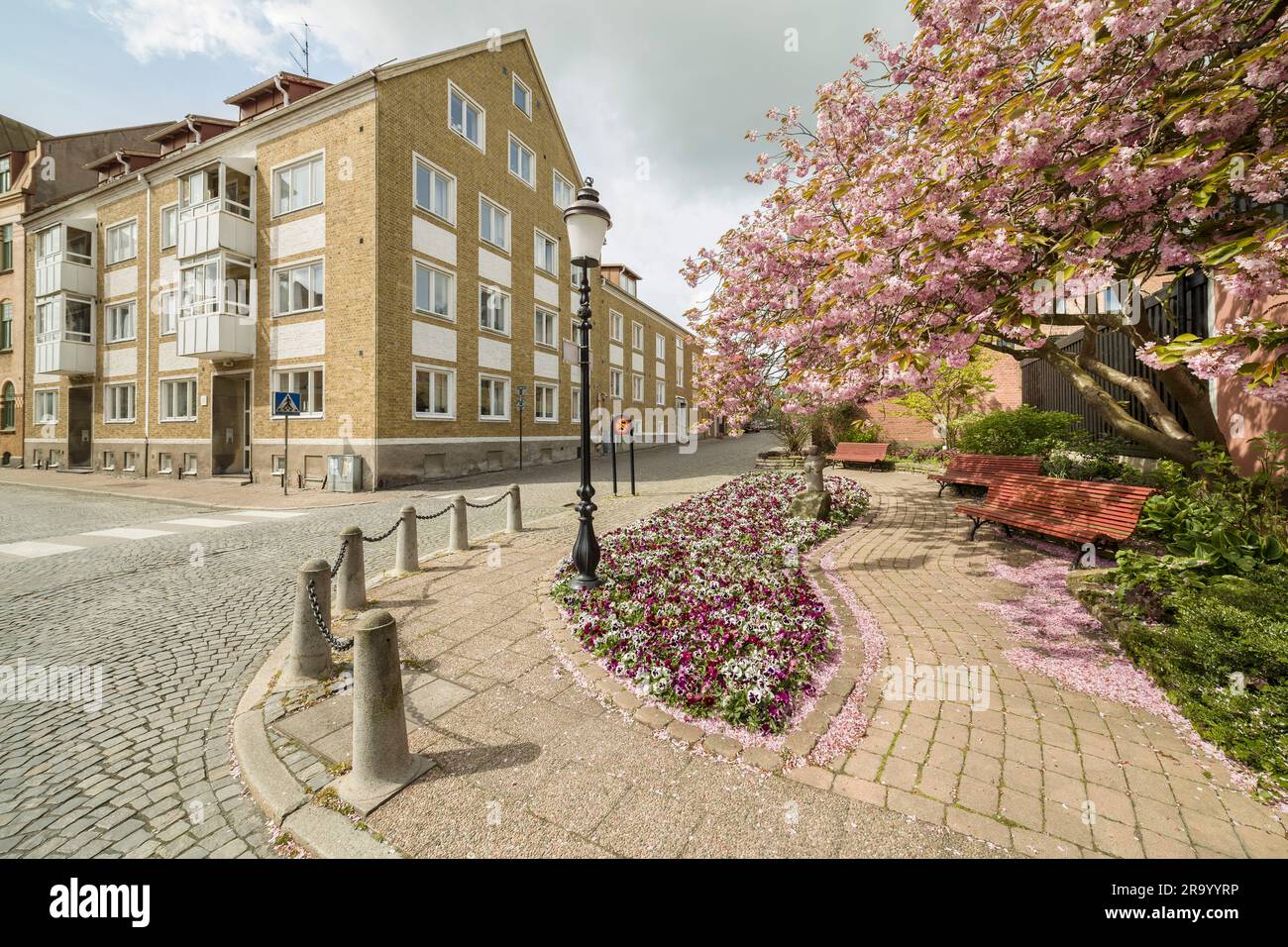 Small park with cherry tree in bloom. Ystad, Skane, Sweden Stock Photo ...