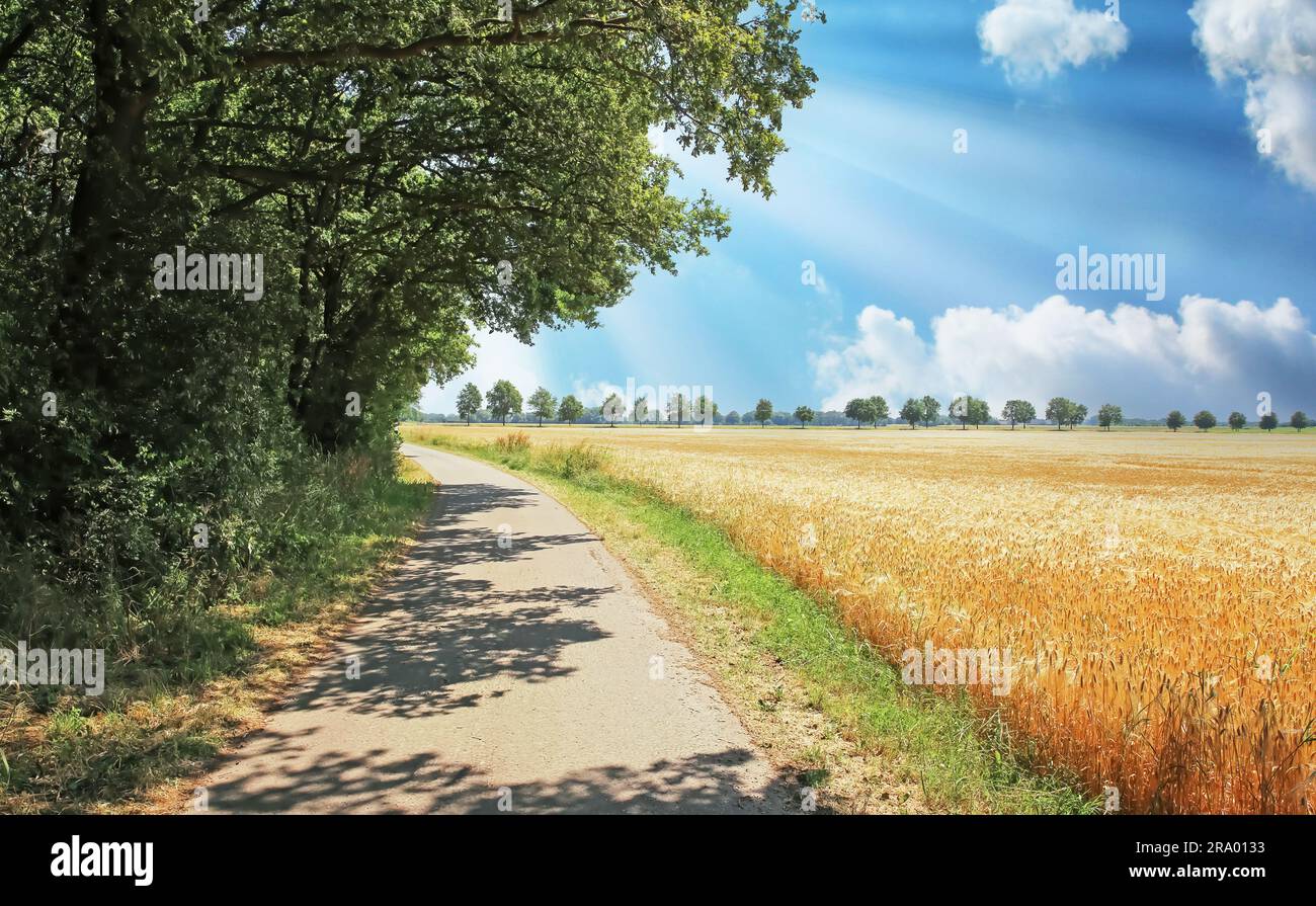 Beautiful typical dutch rural countryside landscape, empty cycle and ...