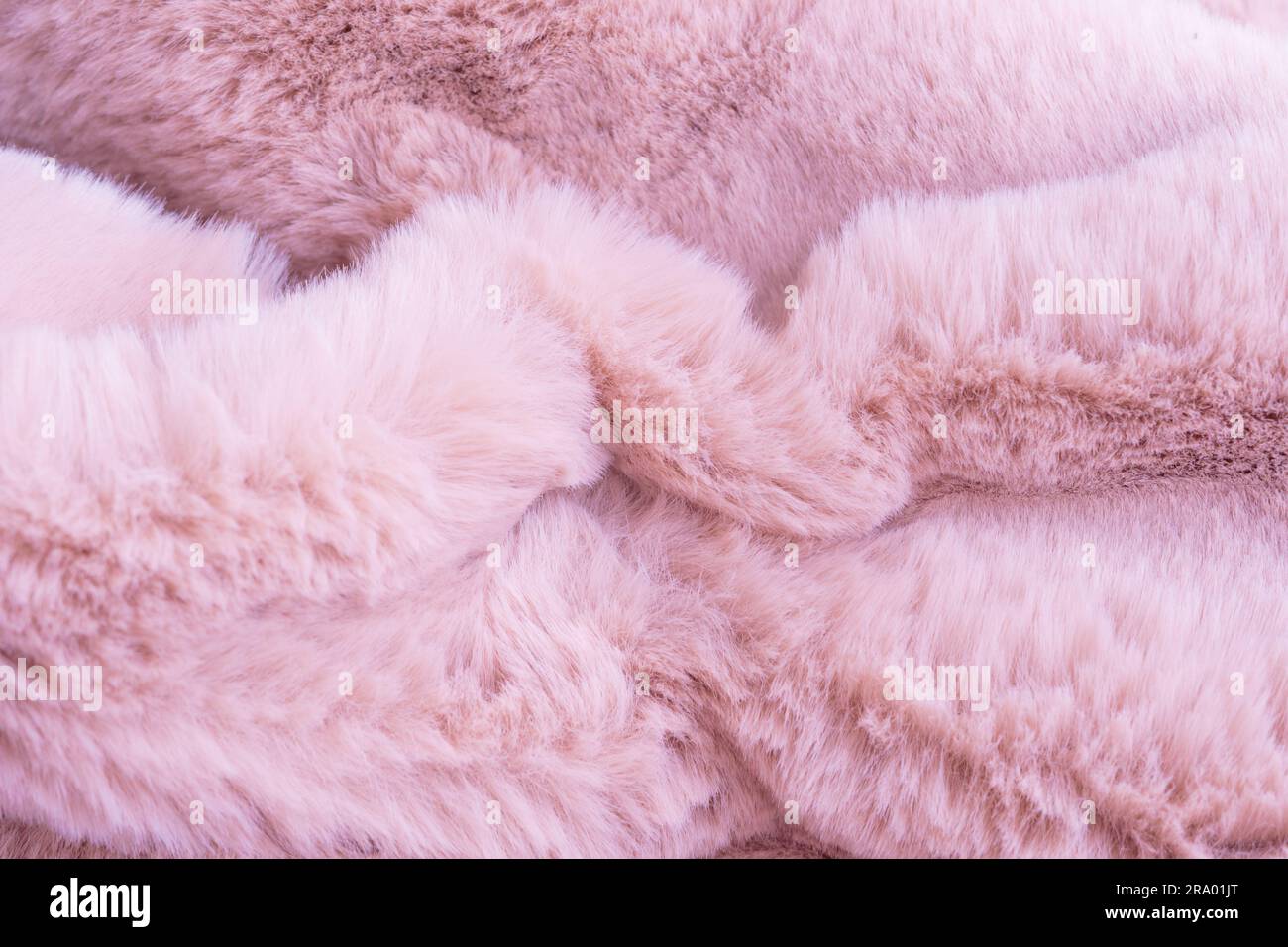pink fur background,fluffy powdery carpet Stock Photo - Alamy