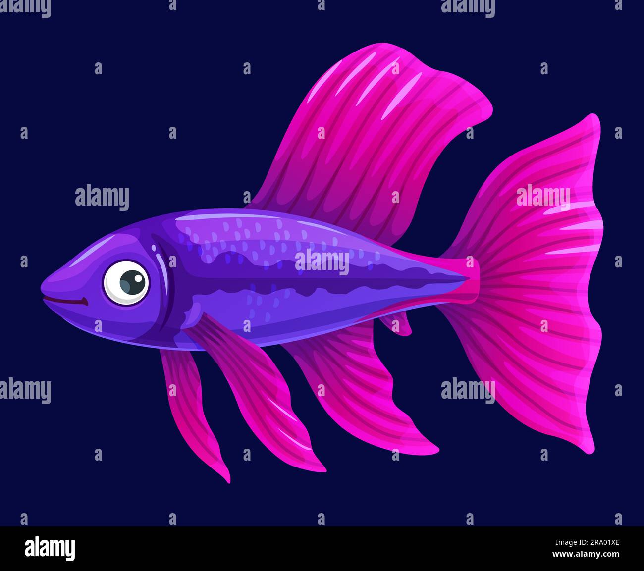 Colorful guppy aquarium fish. Isolated vector small, vibrant and ...