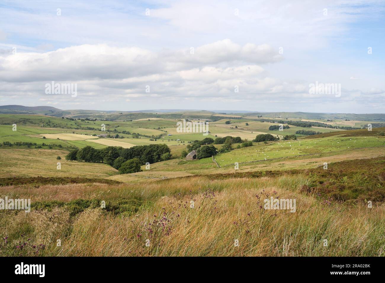Moorland farmland fields in Staffordshire Peak District National park ...