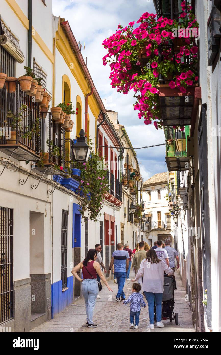 Narrow street, Cordoba Old town Stock Photo - Alamy