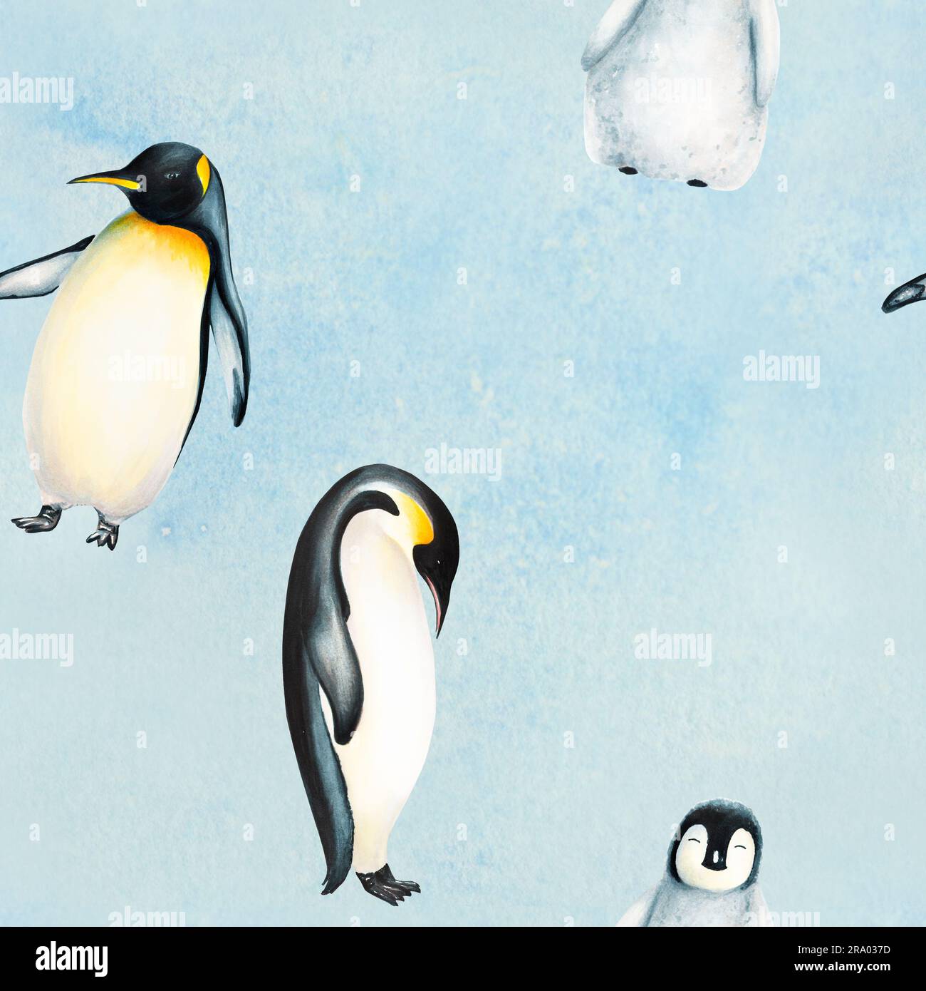 Watercolor seamless pattern with king penguin family isolated. Hand ...