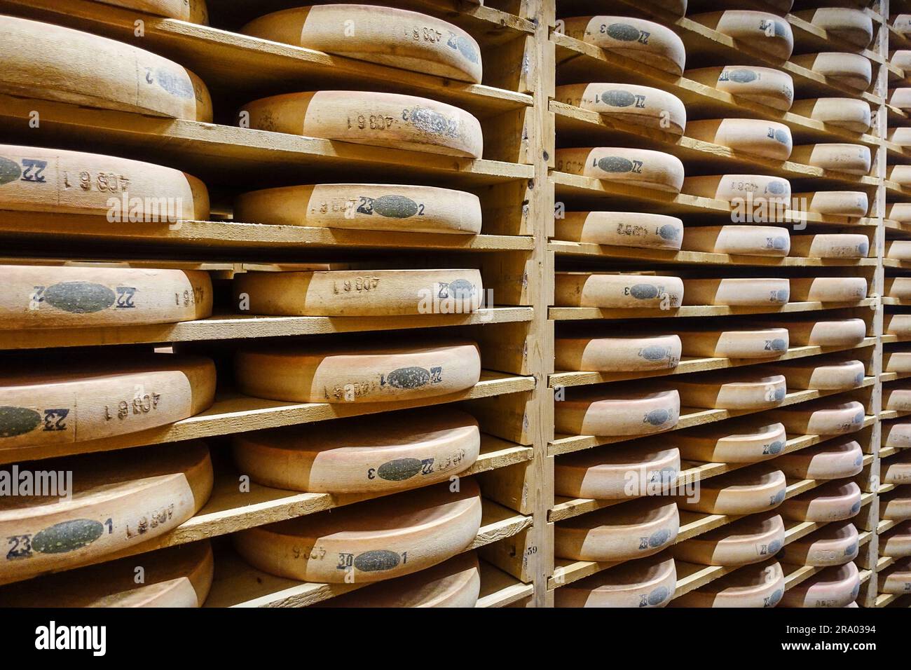 Comte cheese wheel hi-res stock photography and images - Alamy