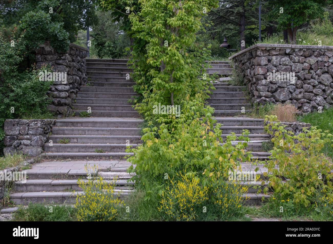 Two stairs side by side in trees, between stone walls. front view Stock ...