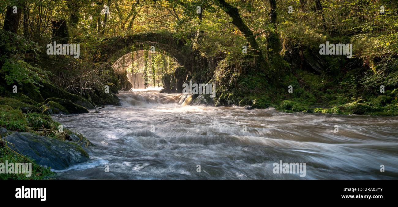 A tranquil river flowing under the Penmachno Bridge in a lush forest ...