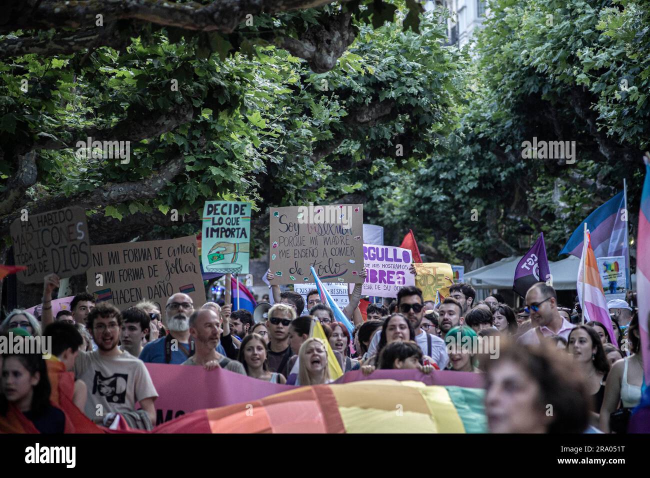 Burgos, Spain. 28th June, 2023. Protesters hold placards during the ...