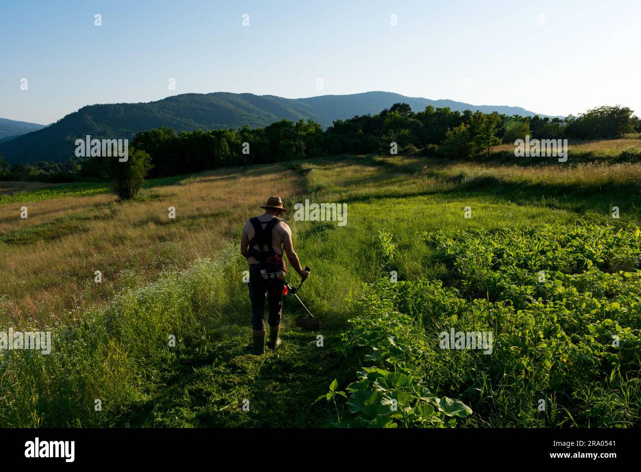 Farmer mows lush grass hi-res stock photography and images - Alamy