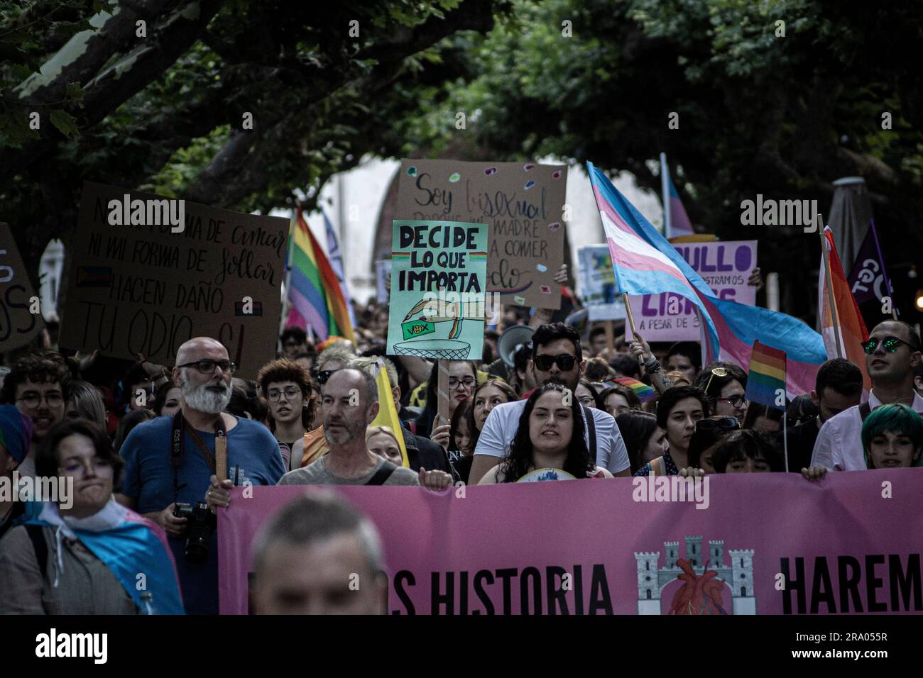 Burgos, Spain. 28th June, 2023. Protesters hold a banner and placards ...
