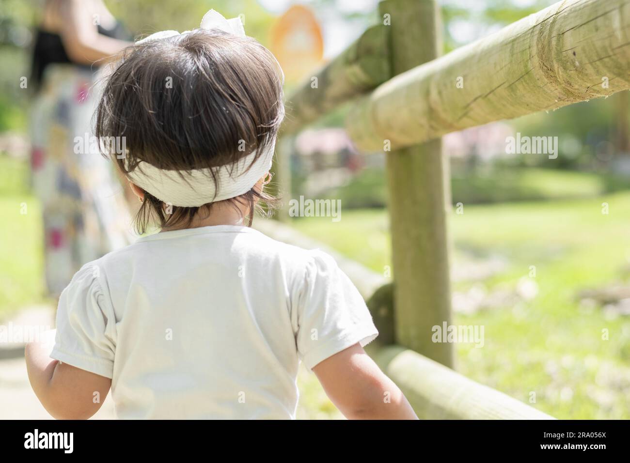 view of the back of a little latin girl walking along a nature trail ...