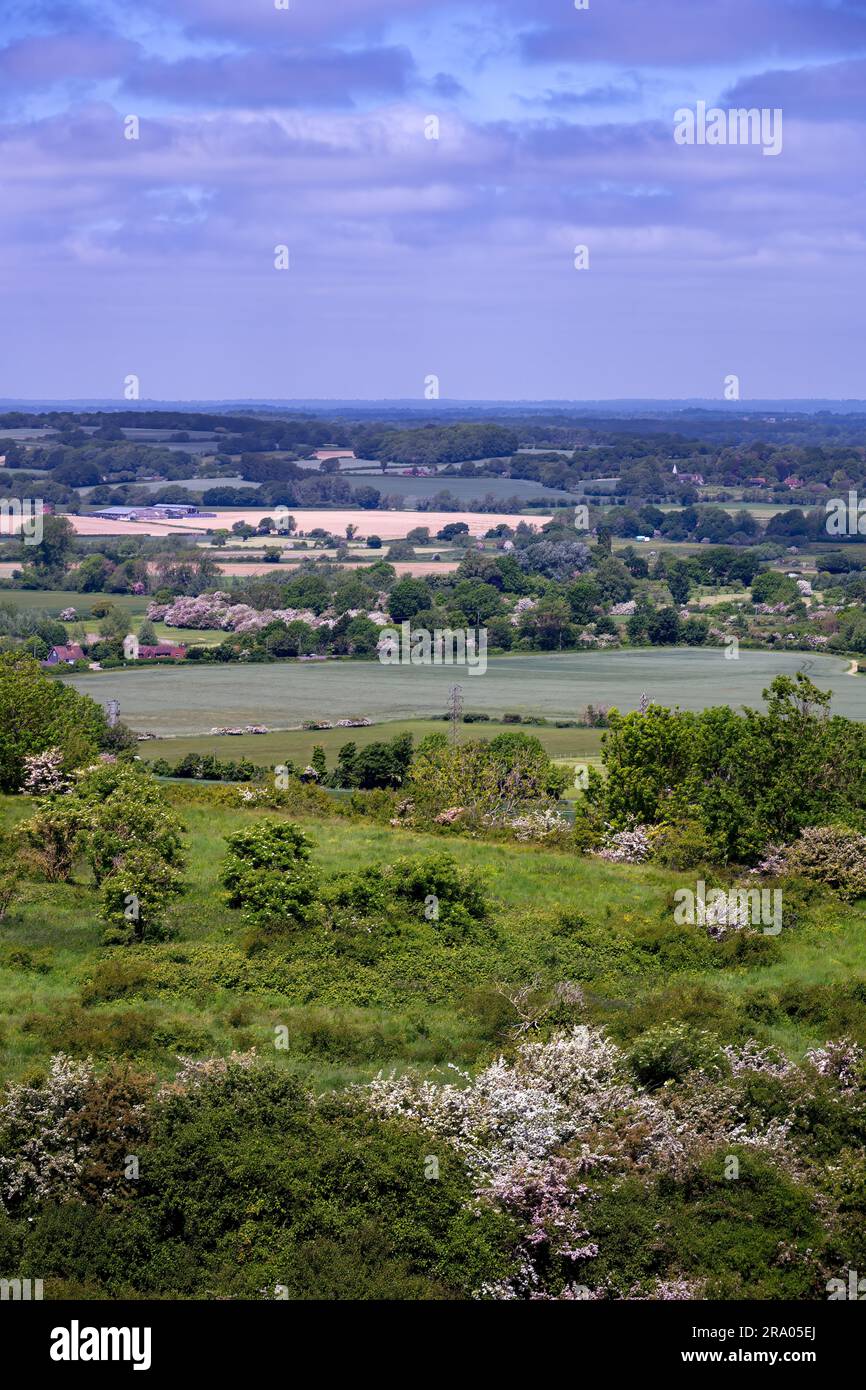 View from Malling Down nature reserve, East Sussex, England Stock Photo ...