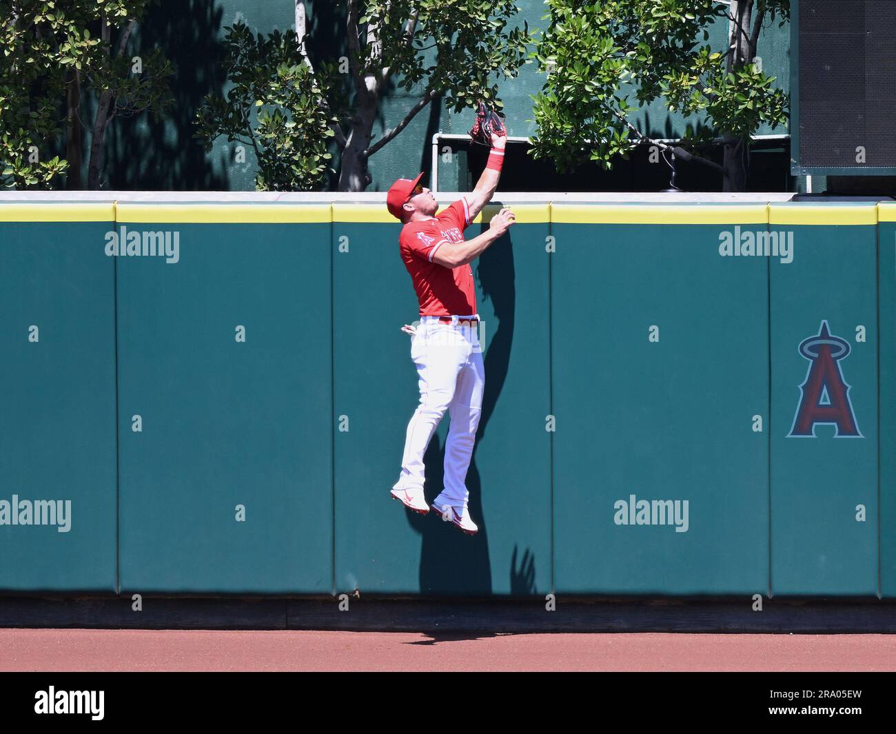 Mike Trout Wall Catch