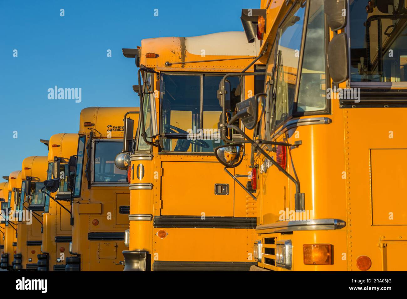 International Genesis school buses lined up in the early morning Stock ...