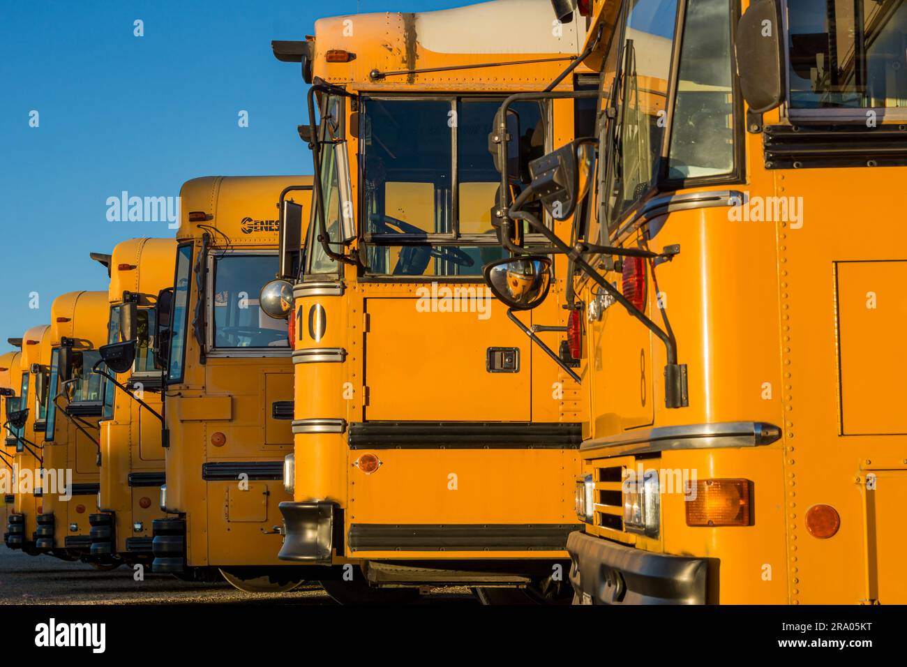 International Genesis school buses lined up in the early morning Stock ...