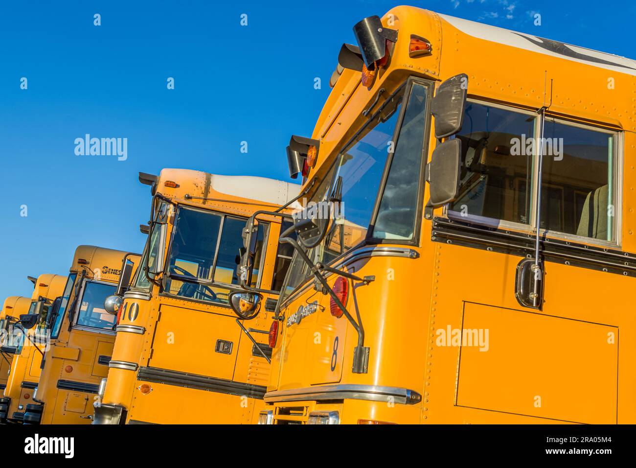 International Genesis school buses lined up in the early morning Stock ...