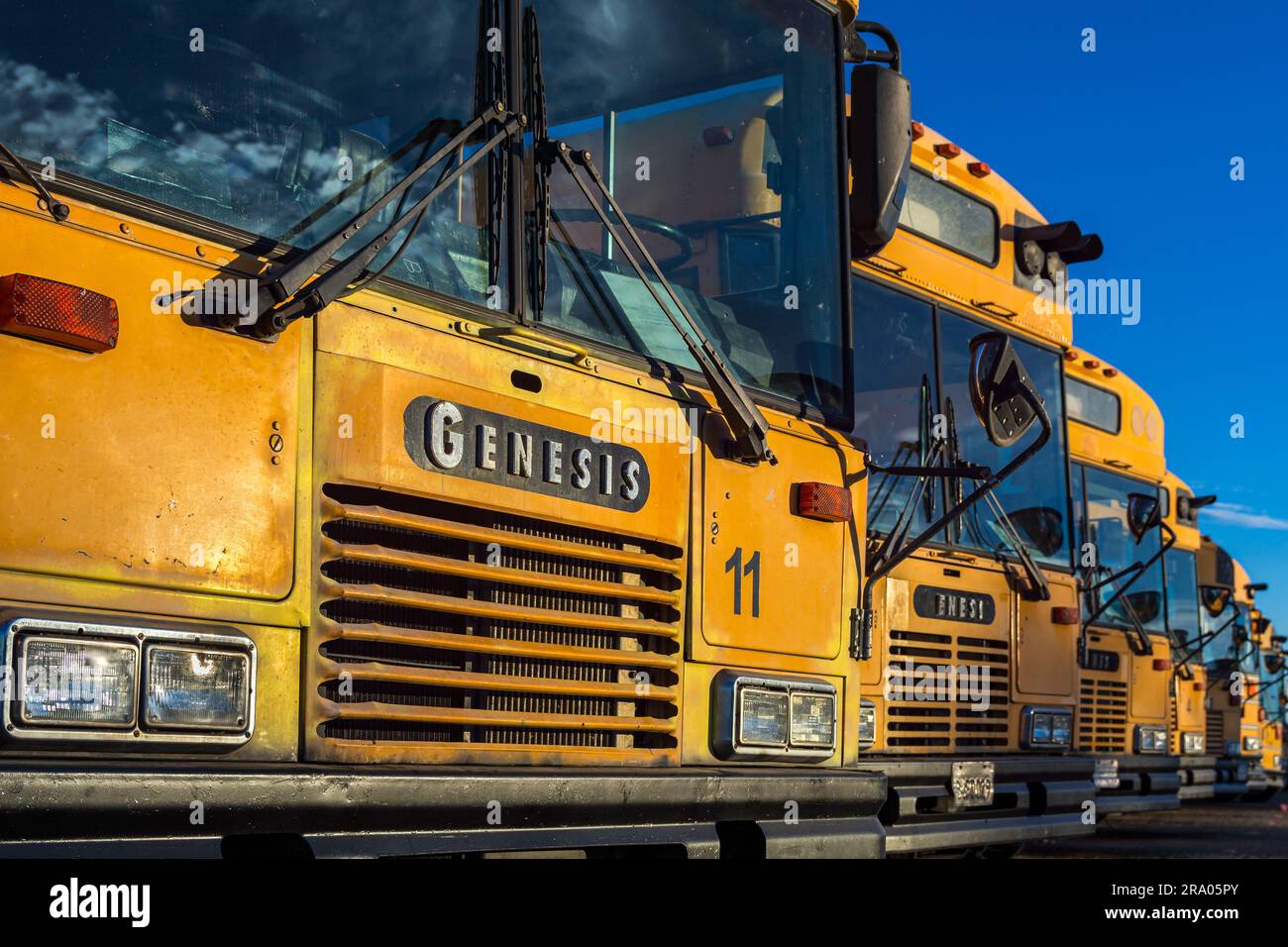 International Genesis school buses lined up in the early morning Stock ...