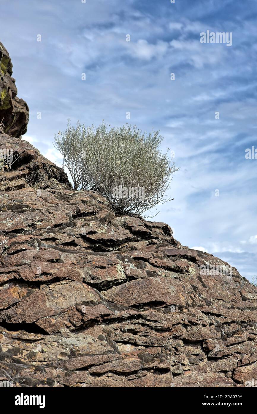 Small green rock formation hi-res stock photography and images - Alamy