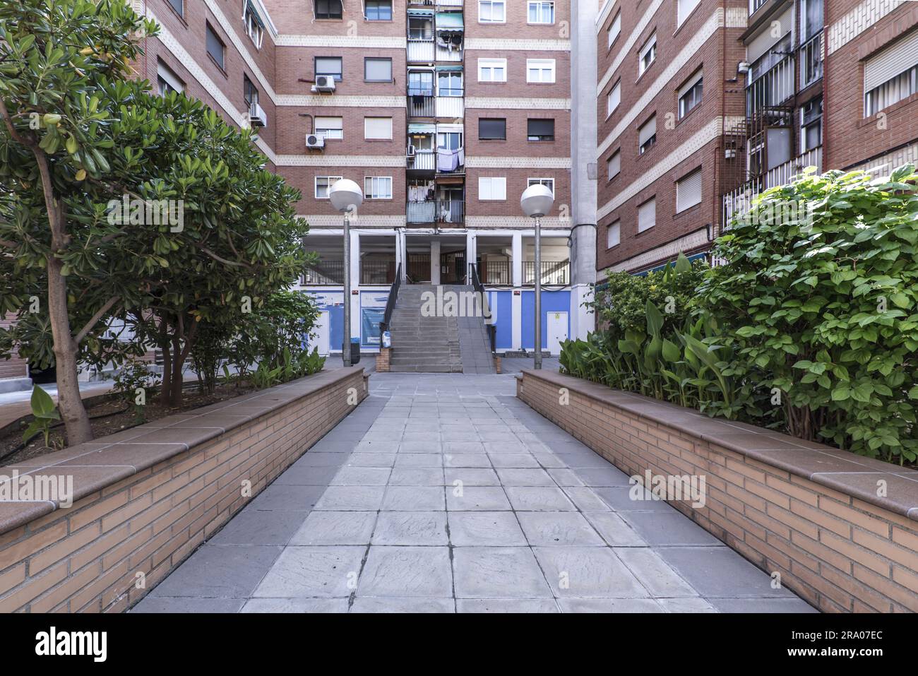 A walkway flanked with large pots full of plants in the interior common ...