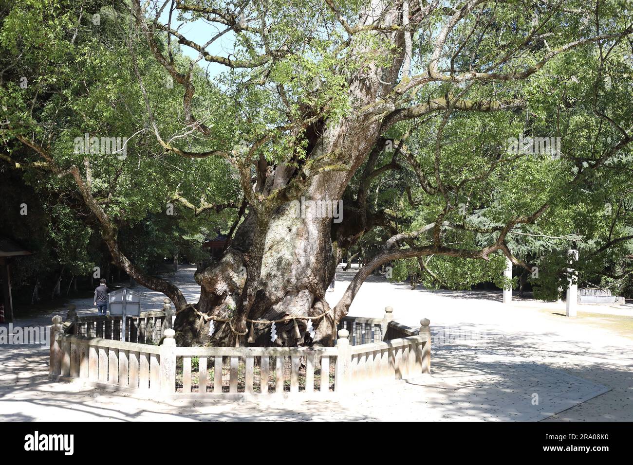 Oyamazumi Shrine, located on the island of Omishima (Ehime prefecture ...