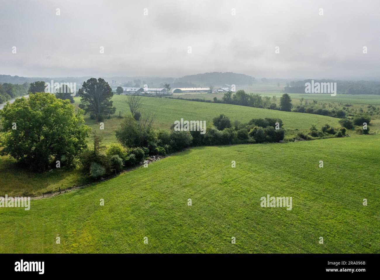 Aerial view of a farm field and a row of trees in the Town of Wallkill ...