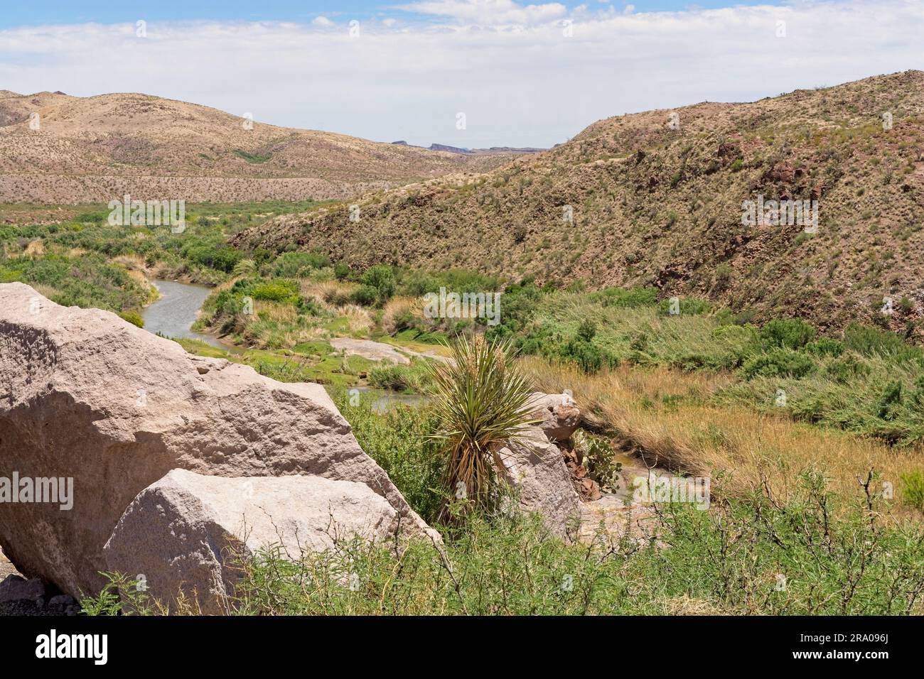 Rio Grande river meander through lush valley in Chihuahuan Desert of ...