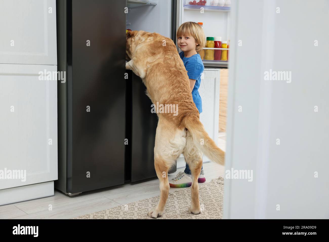 Boy stealing food hi-res stock photography and images - Alamy