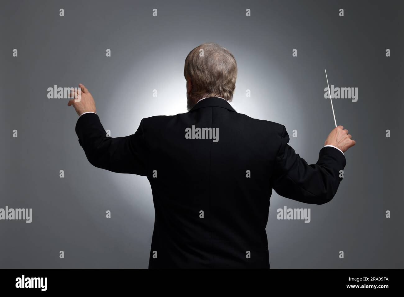 Professional conductor with baton on grey background, back view Stock ...