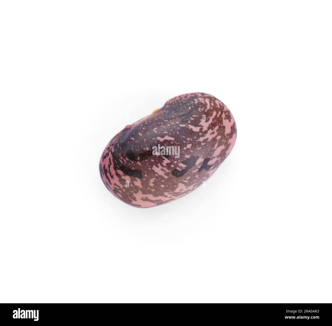 Dry kidney bean isolated on white, top view Stock Photo - Alamy