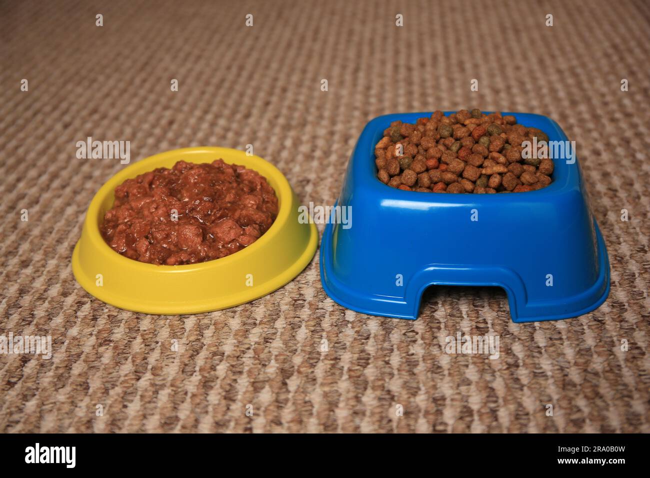 Dry and wet pet food in feeding bowls on soft carpet Stock Photo - Alamy