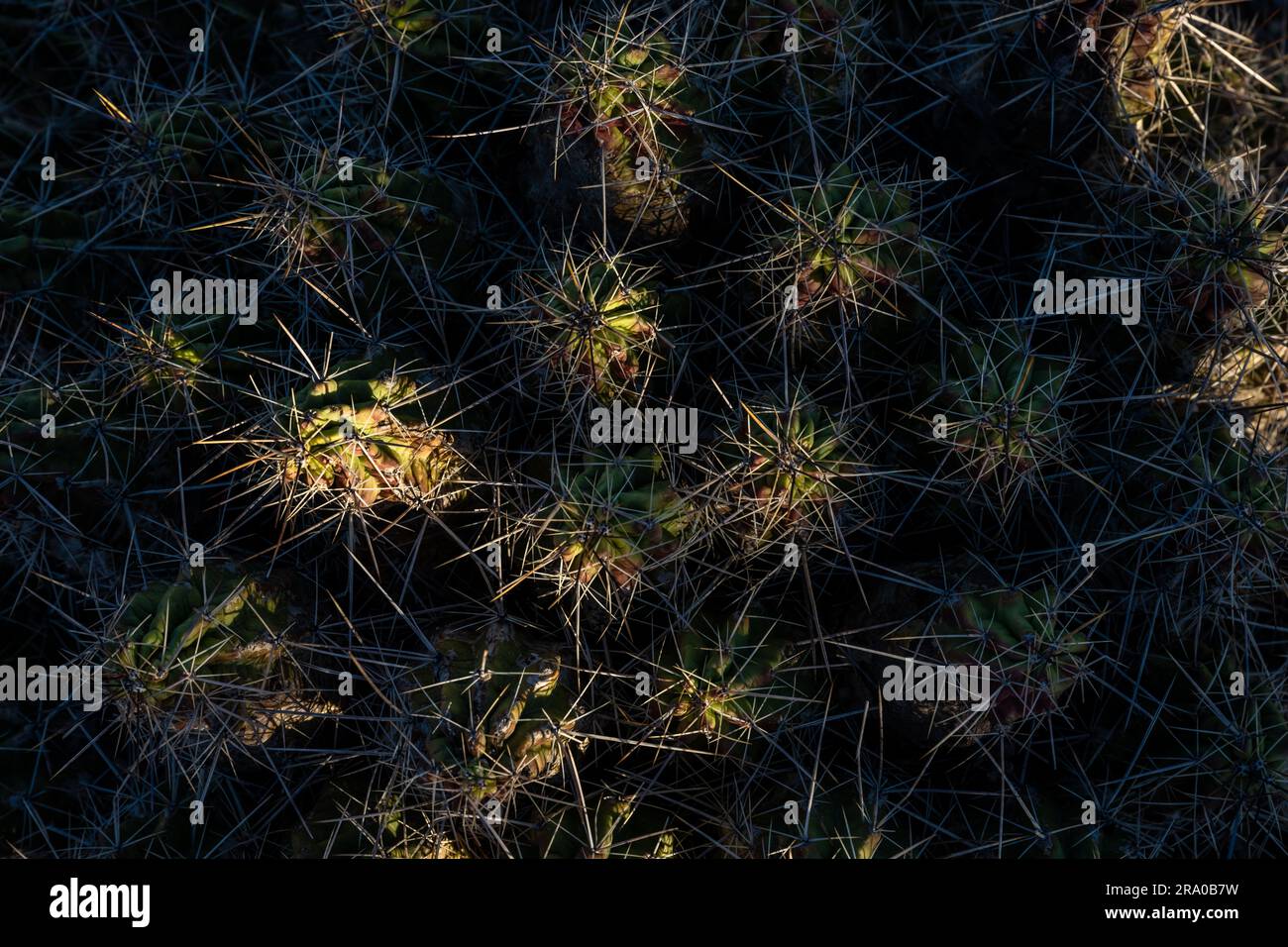 Play of shadows and light hi-res stock photography and images - Alamy