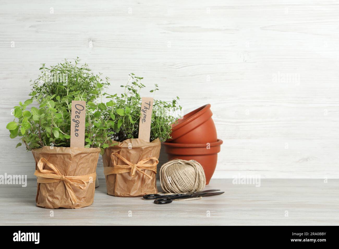 Different aromatic potted herbs, scissors, pots and woolen yarn on ...