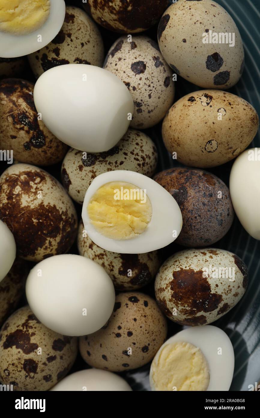 Peeled and unpeeled hard boiled quail eggs in plate, top view Stock ...