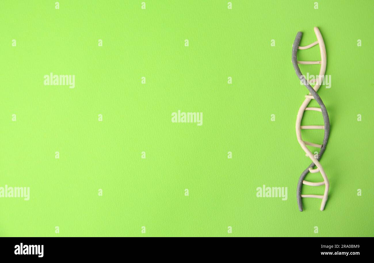 Plasticine model of DNA molecular chain on green background, top view ...