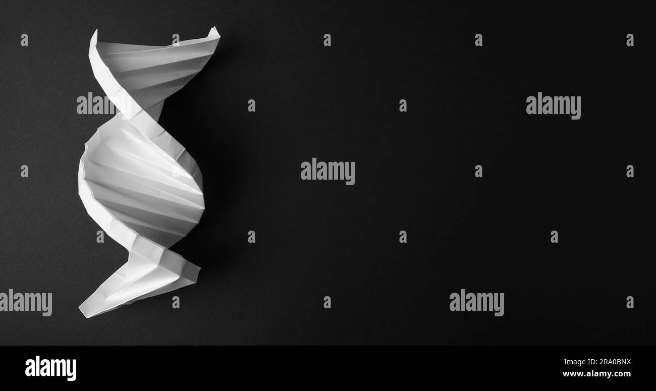 Paper model of DNA molecular chain on black background, top view. Space ...