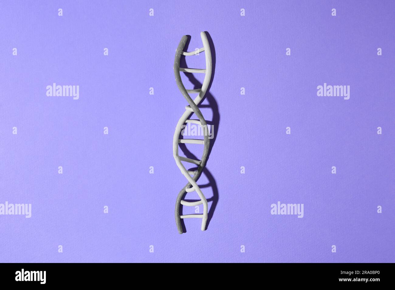 Plasticine model of DNA molecular chain on violet background, top view ...