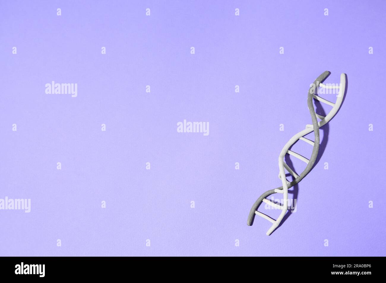 Plasticine model of DNA molecular chain on violet background, top view ...