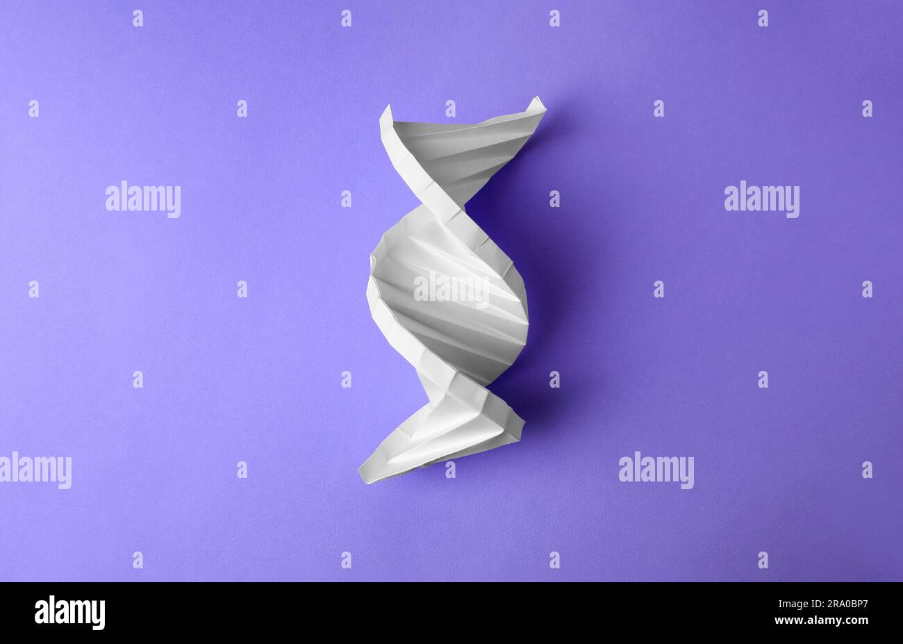Paper model of DNA molecular chain on violet background, top view Stock ...