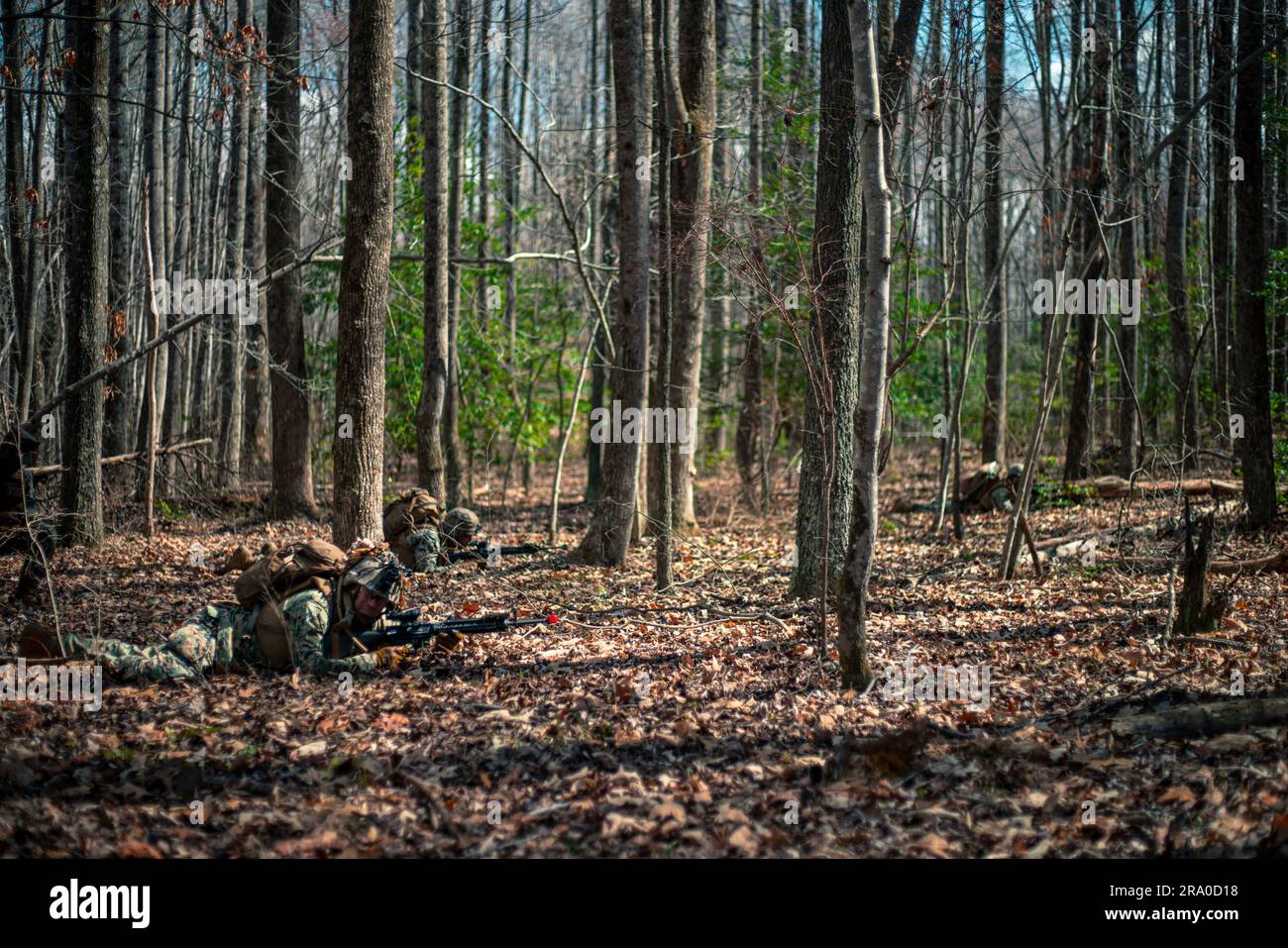 Rifle platoon field exercise hi-res stock photography and images - Alamy