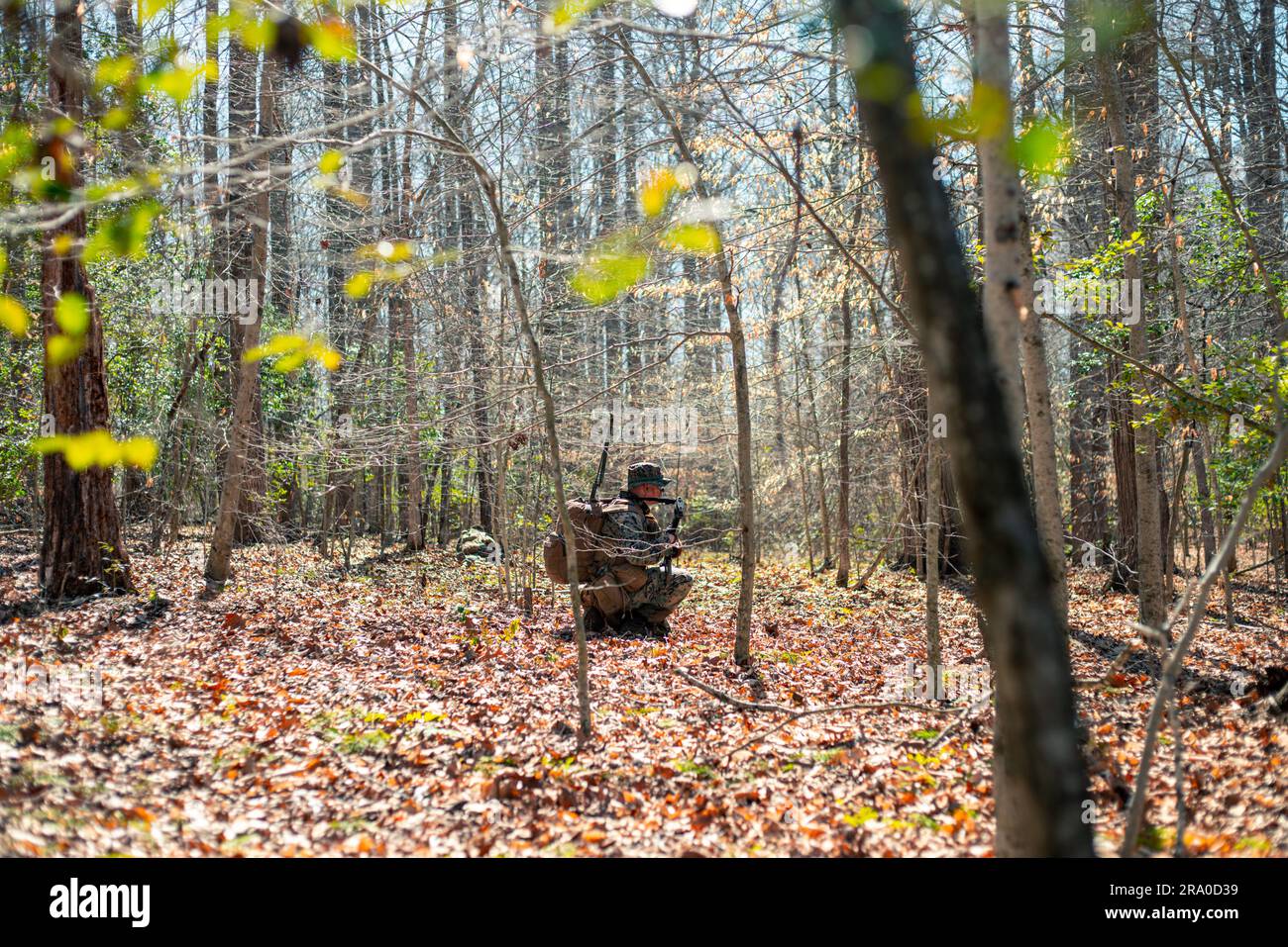 U.S. Marines participate in a field exercise during the Warrant Officer ...