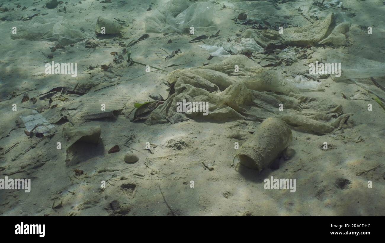 Plastic garbage lies on sandy-silty bottom of sea in shallow water on ...