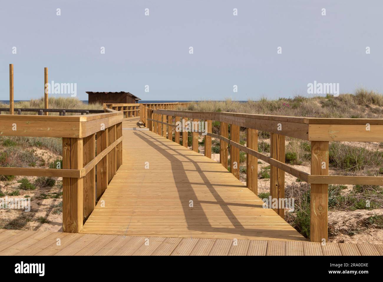 Boardwalk through the vegetation in the dunes at the sandy beach Meia ...