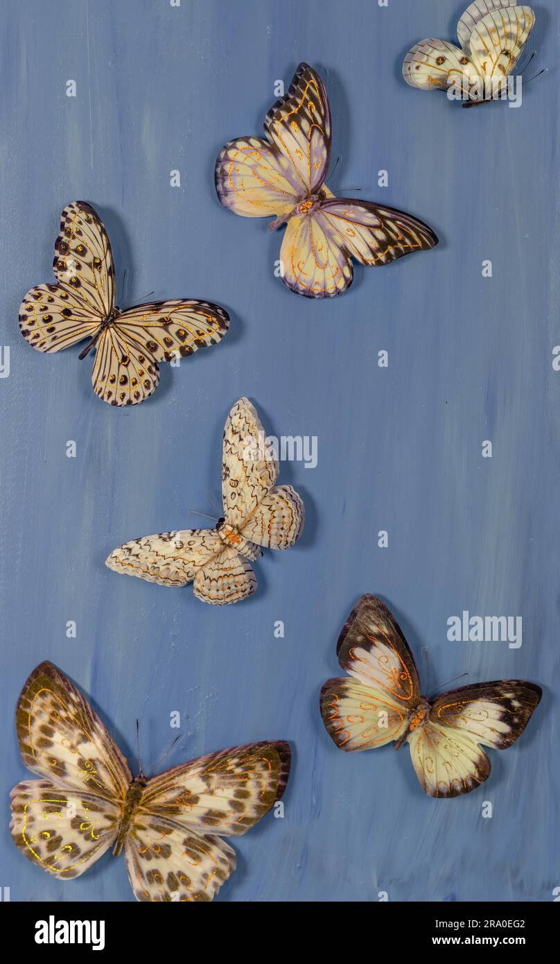 Artificial butterflies flying on a blue background Stock Photo - Alamy